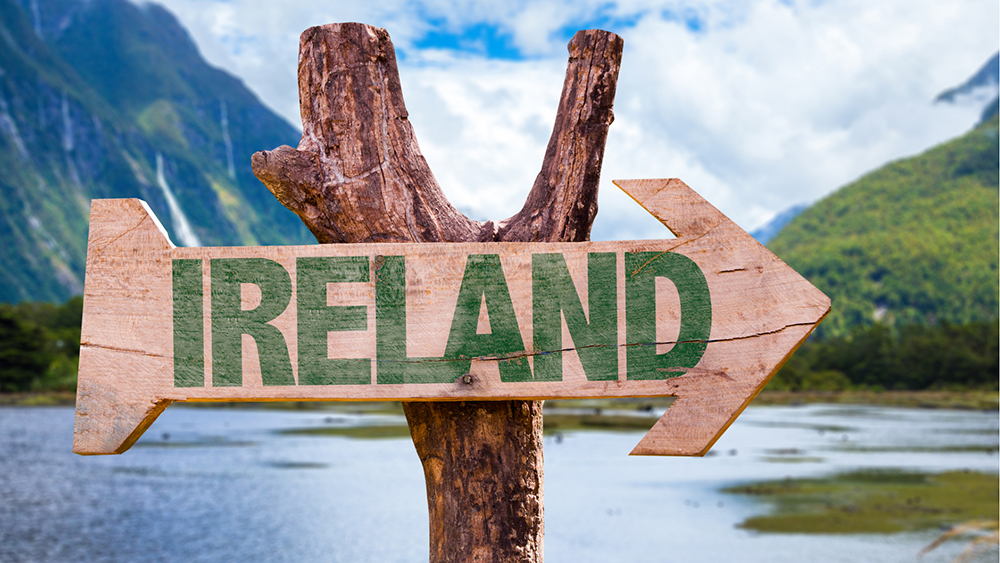 Dreaming of a new Irish Landscape (Guest post) - Gaelic Woodland Project